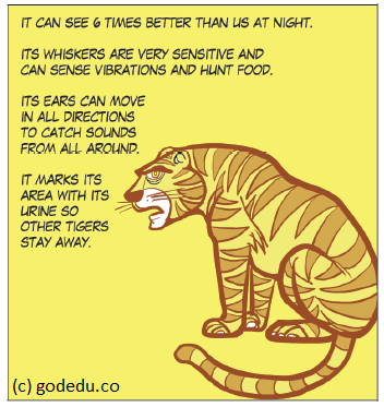 Syllabus Cartoons are here! – Active Learning for Creativity